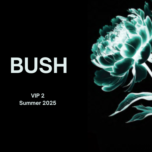 Bush 2025 Summer Tour VIP2 Bundle – ptyvipd2c